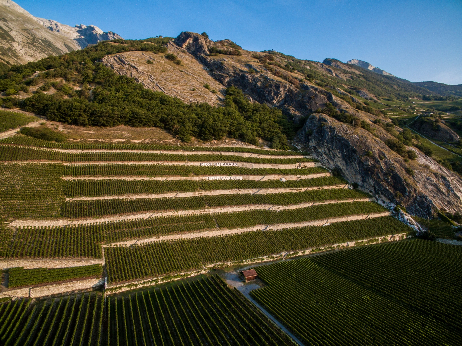 Maison Maye - Riddes :: :: œnotourisme vins :: Sierre :: Valais