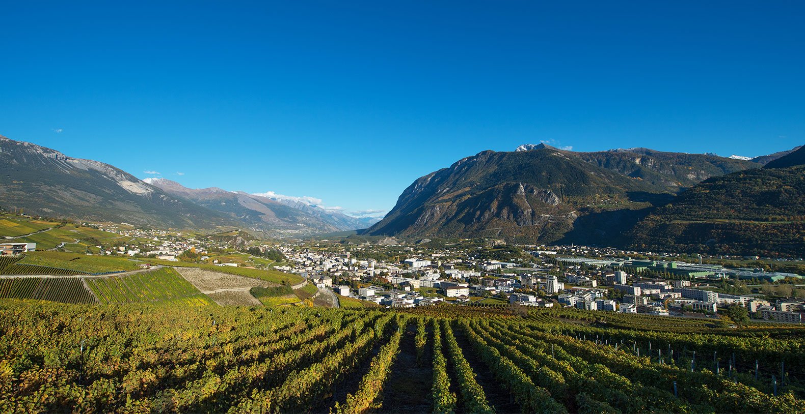 Das Wallis :: :: Weintourismus Wein Wallis